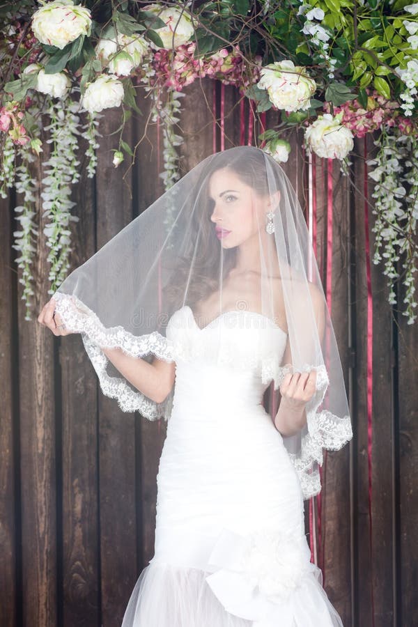 Beautiful Bride in a Wedding Dress with Bare Shoulders and Veil Stock ...