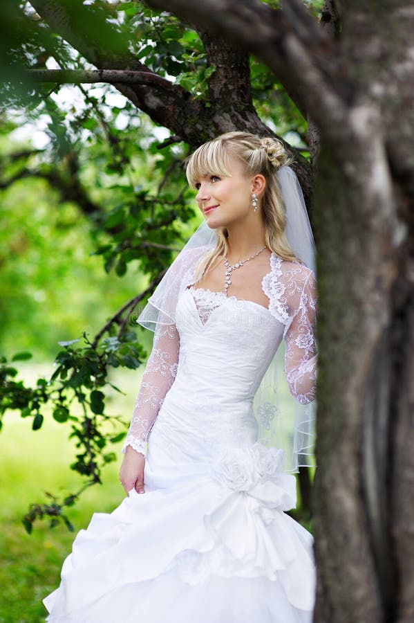 Beautiful Bride in Wedding Dress Near Tree in Park Stock Image - Image ...