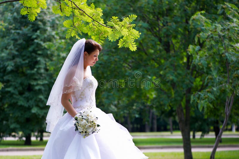Beautiful Bride on Wedding Walk Stock Photo - Image of white, romantic ...