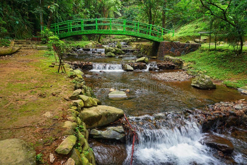 Beautiful Bridge Over the River in the Middle of the Forest Stock Photo ...