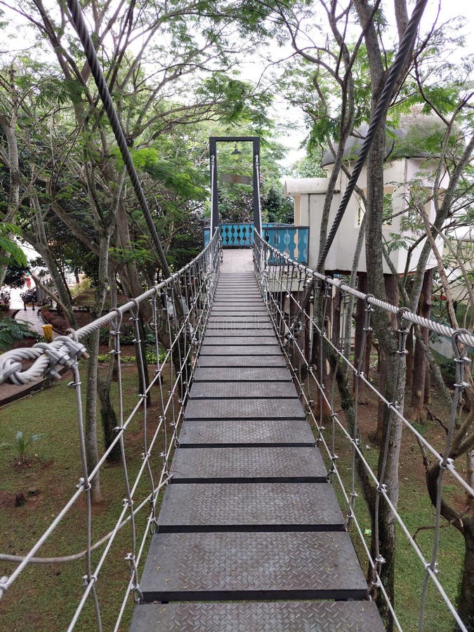 Beautiful Bridge in the Park for Playing Flying Fox Stock Image - Image ...