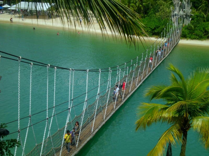 Beautiful Bridge in Singapore from Above Editorial Photography - Image ...