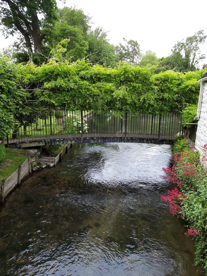A Beautiful Bridge with Vegetation Over a River Stock Photo - Image of ...