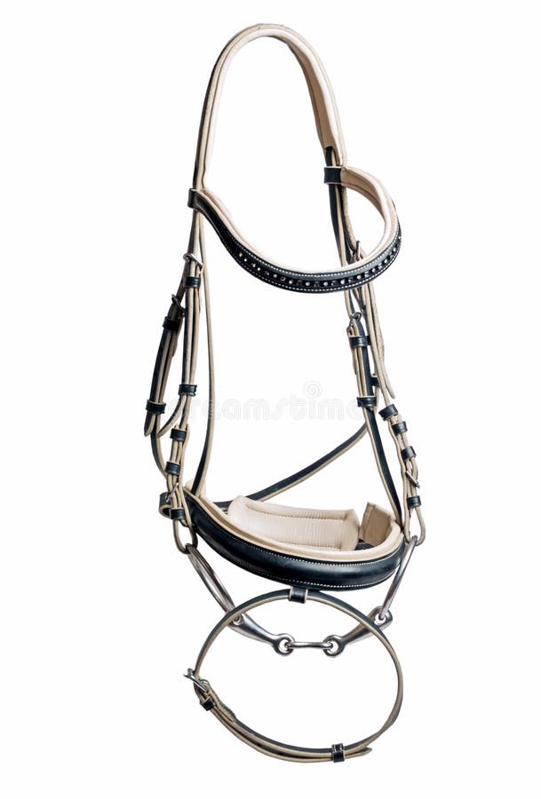 Beautiful Bridle with Bit Isolated on White Stock Image - Image of ...