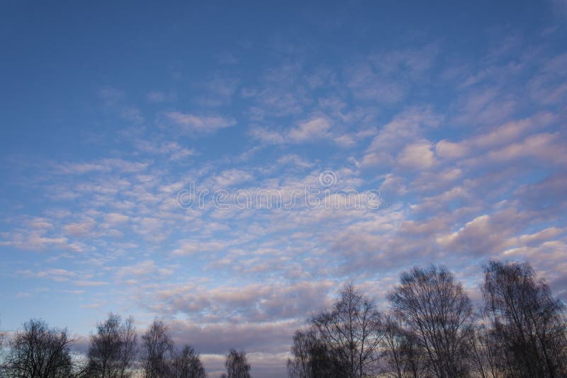 Beautiful Bright Clouds on the Blue March Sky in the Spring Day Stock ...