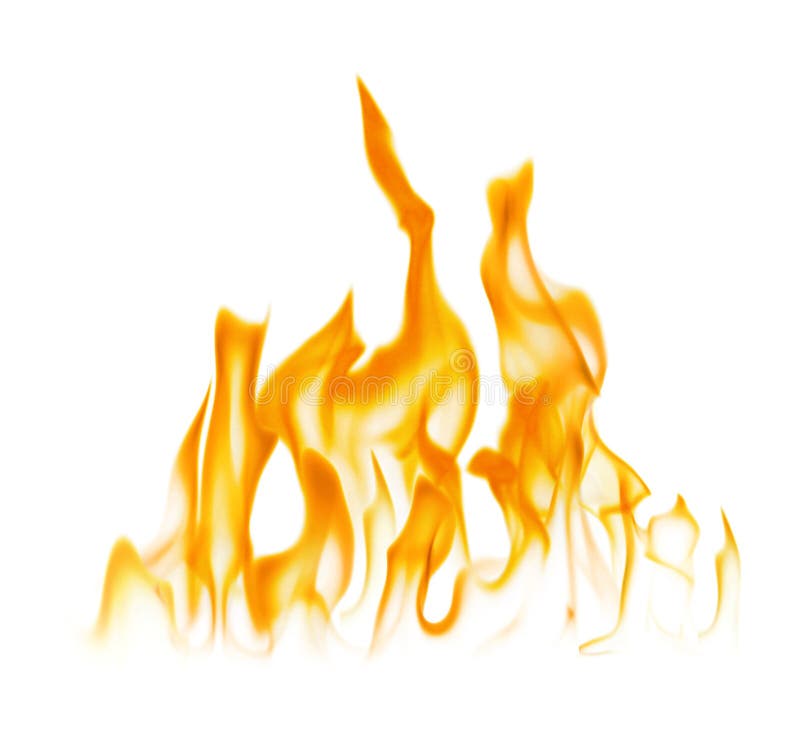 Beautiful Bright Fire Flames on White Background Stock Illustration ...