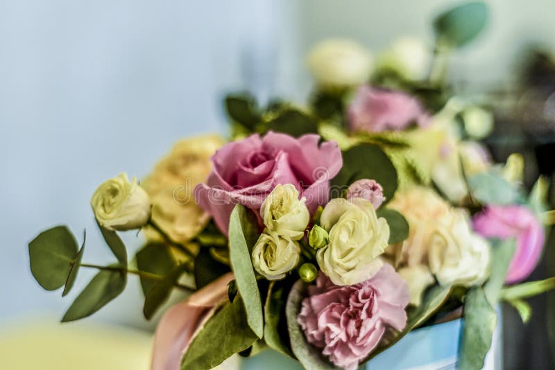 Beautiful and Bright Flowers Stock Image - Image of femininity, nature ...