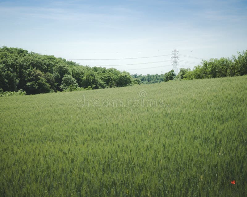 Beautiful Bright Green Field on a Hill Stock Image - Image of field ...