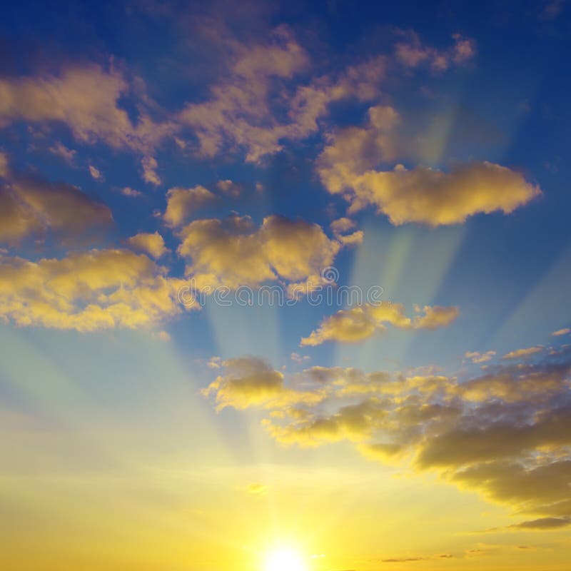 Bright Sunset Over Corn Field Stock Image - Image of daybreak, meadow ...