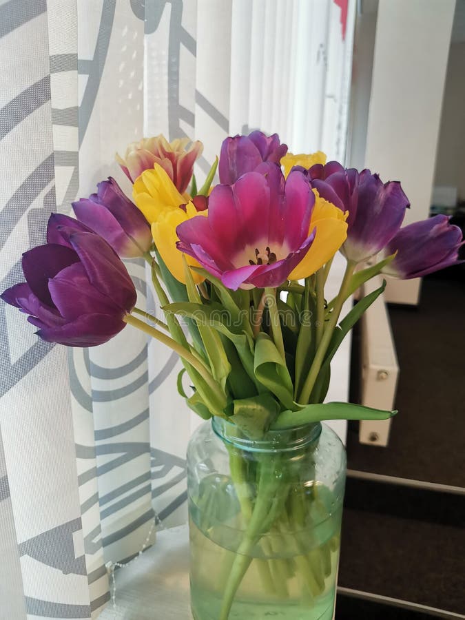 Beautiful Bright Tulips of Different Colours in the Office on Holiday ...