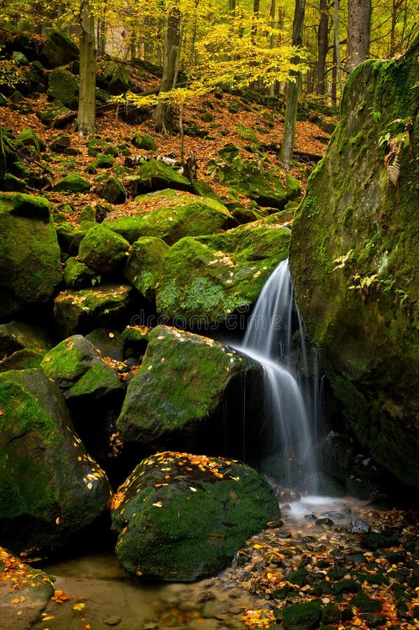 Beautiful Brook in the Forest Stock Image - Image of countryside, leaf ...