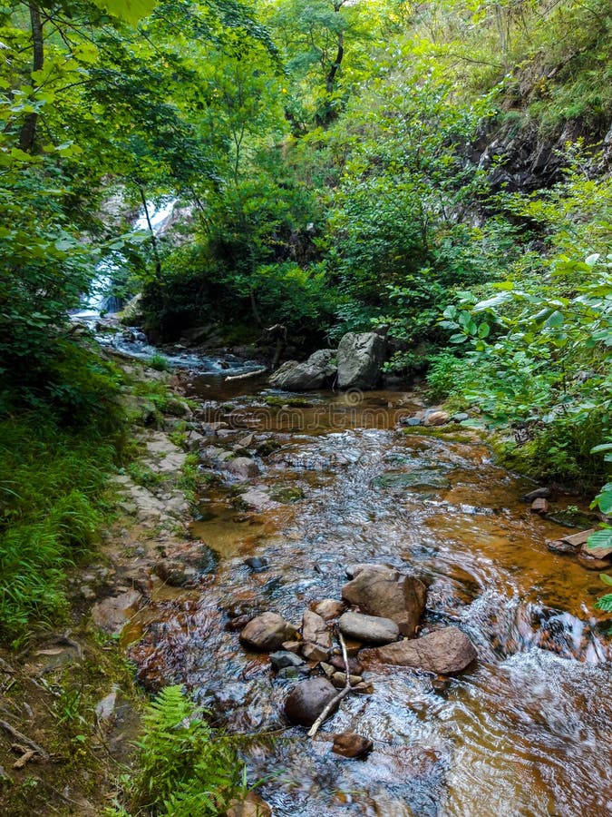 Beautiful brook image stock photo. Image of magical - 114969586