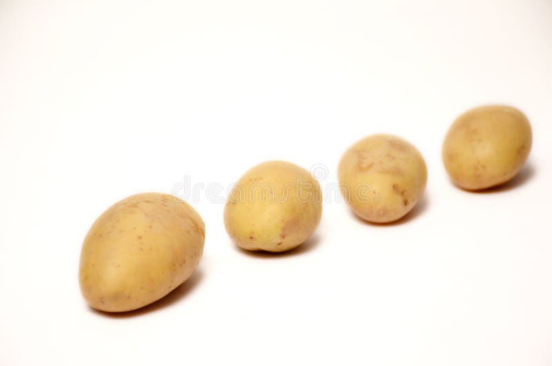 Four potato chips or crisp stock photo. Image of sailt - 113017578