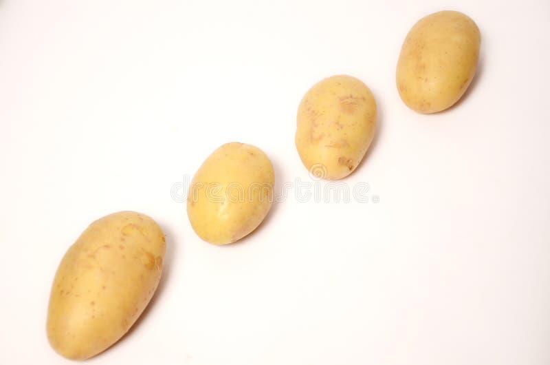 Four potato chips or crisp stock photo. Image of sailt - 113017578