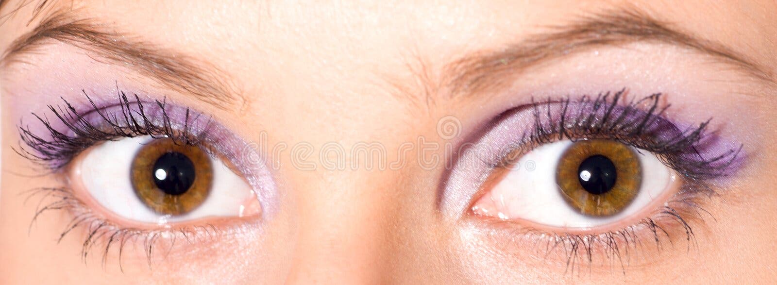 Beautiful brown eyes stock photo. Image of copy, beautiful - 11613858