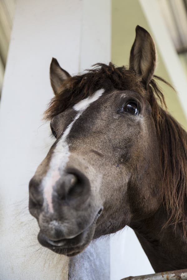 Smiley Barn in Delafield Wisconsin Stock Image - Image of siding ...