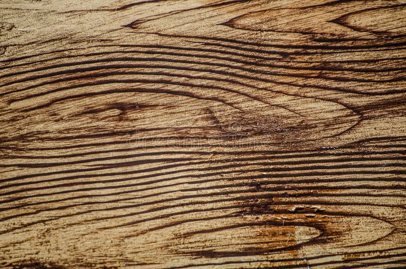 Beautiful Brown Wood Timber Abstract Surface Pattern for Background ...