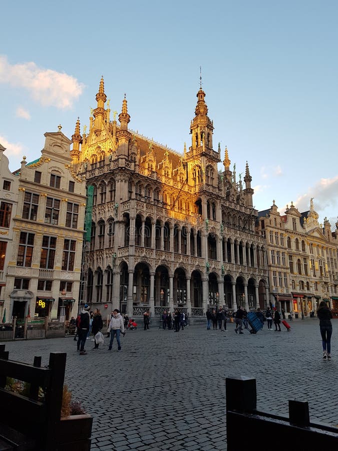 Beautiful Brussels Flower Carpet Editorial Photography - Image of trip ...