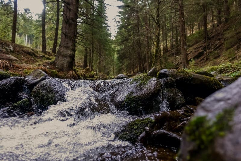 Beautiful Bubbling Torrent in the Forest while Hiking Stock Image ...