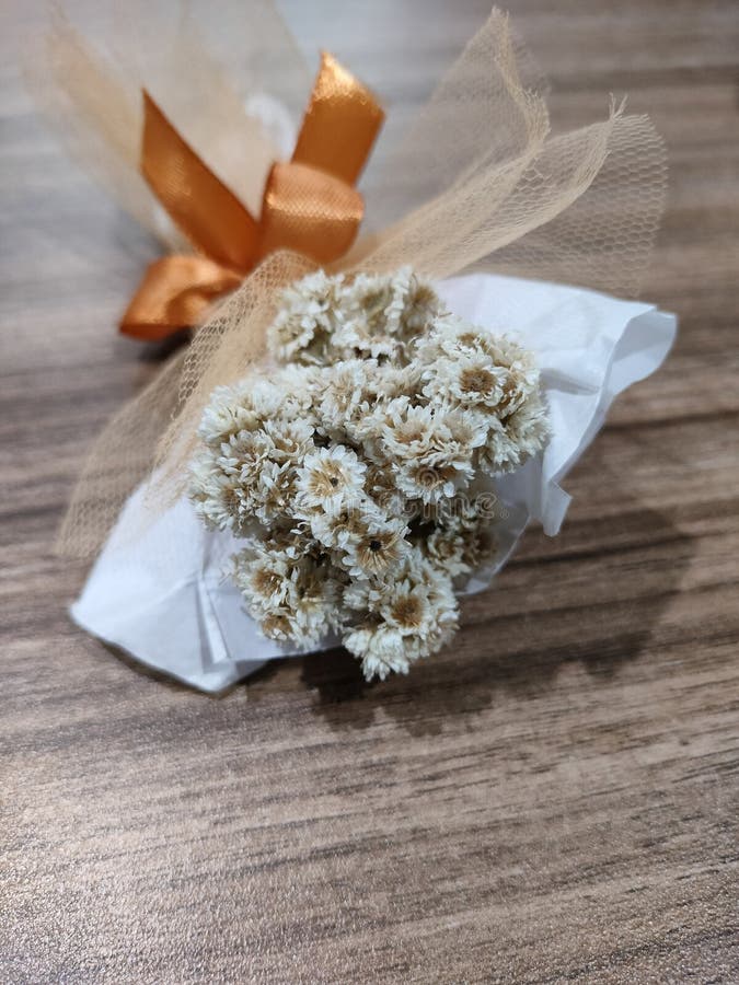 Beautiful Bucket Dried Flowers Stock Image - Image of bucket, beautiful ...