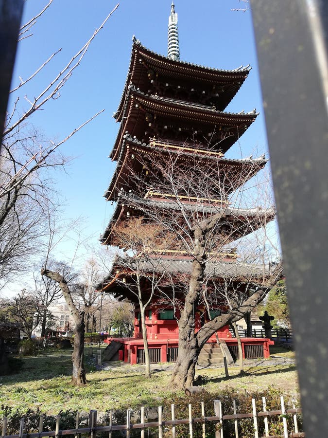 Beautiful Building in Tokyo Stock Photo - Image of shrine, tokyo: 214344010