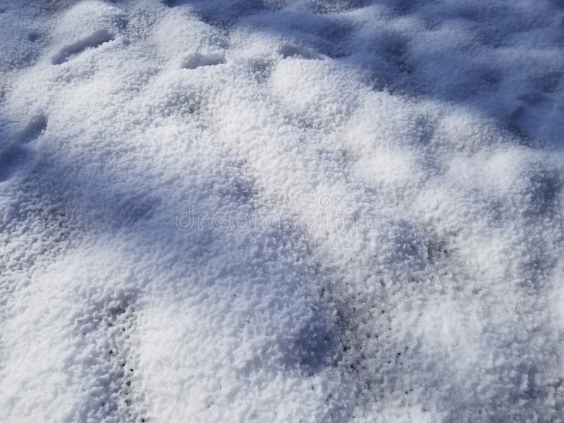 Bumpy snow at dawn stock photo. Image of dawn, damp - 146878274