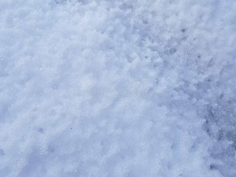 Bumpy snow at dawn stock image. Image of forestnthey - 146878287