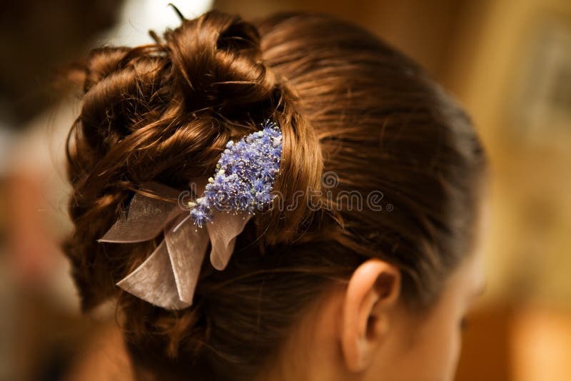 Beautiful Bun stock photo. Image of attractive, beautiful - 3395662