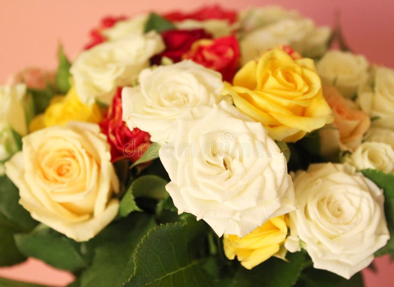 A beautiful bunch of roses stock image. Image of natural - 98713589