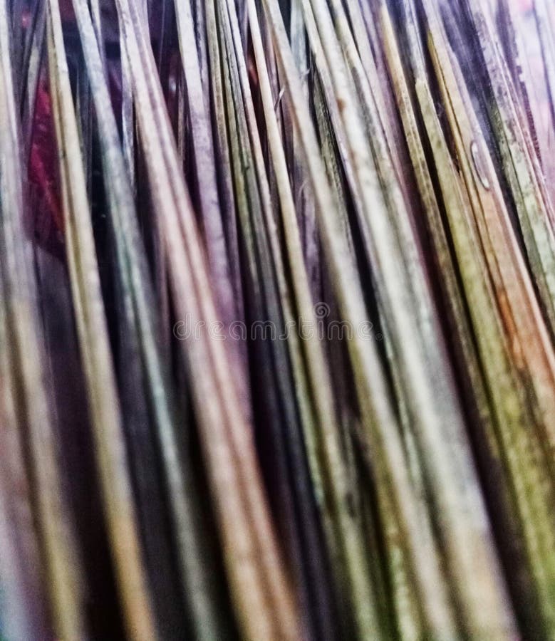 A Beautiful Bunch of Tiny Sticks Stock Photo - Image of design, purple ...