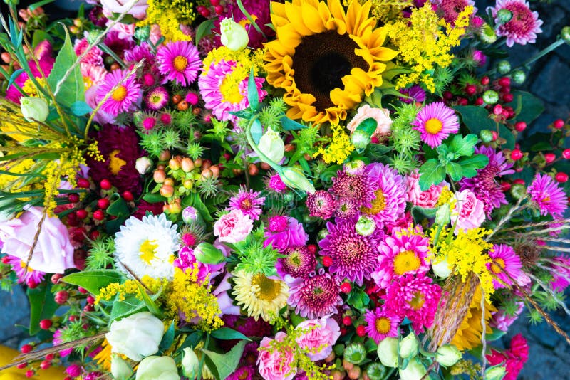 Beautiful Bunch of Various Kind of Fresh Flowers Seen from Above ...