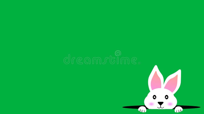 Beautiful Bunny Looking from Black Hole on Green Screen Stock Image ...