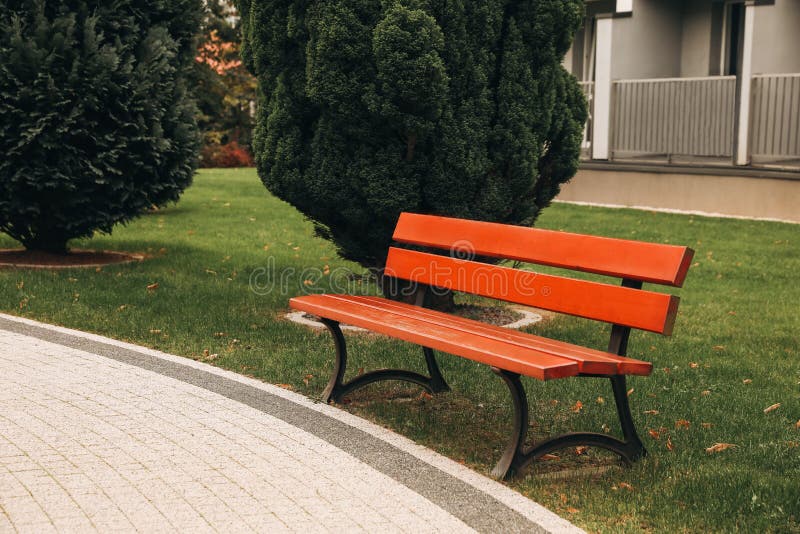 Beautiful Bushes, Pathway and Bench in Park Stock Image - Image of ...