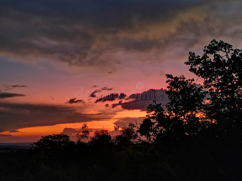 Beautiful bushveld sunset stock photo. Image of sunlight - 259829932