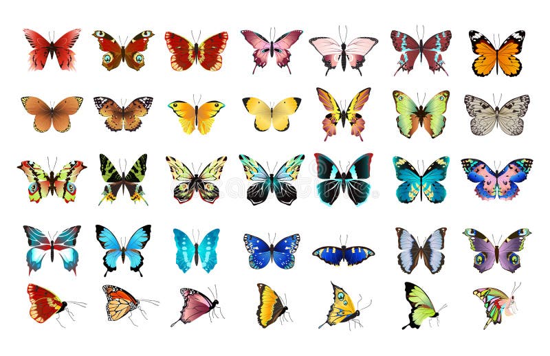 Various butterfly patterns stock vector. Illustration of vector - 10162726