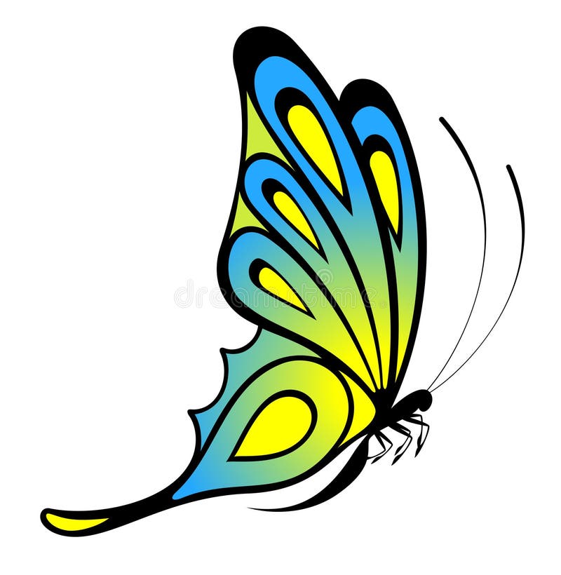Beautiful Butterfly for a Design Stock Vector - Illustration of design ...