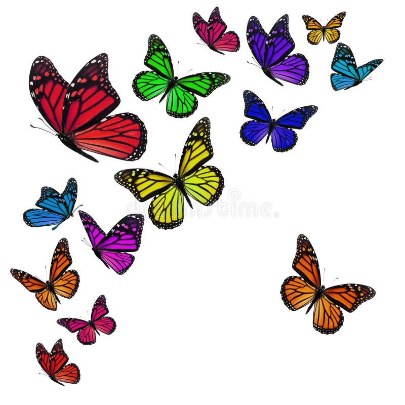 Beautiful butterfly flying stock illustration. Illustration of ...