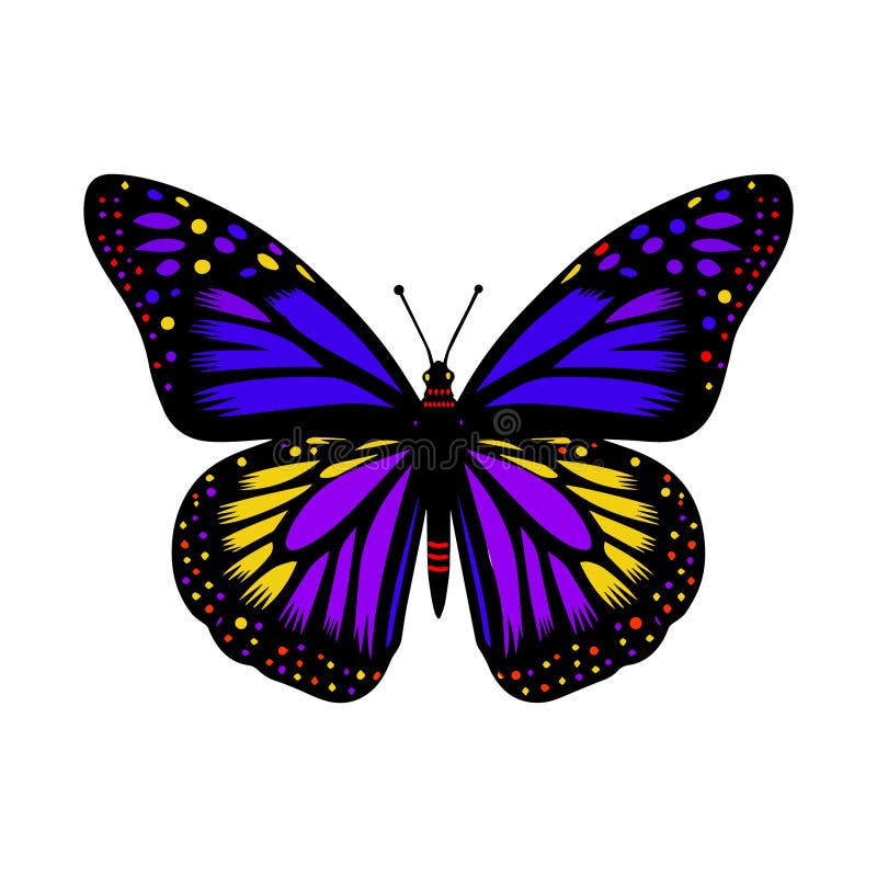 Butterful Vector Stock Illustrations – 2 Butterful Vector Stock ...