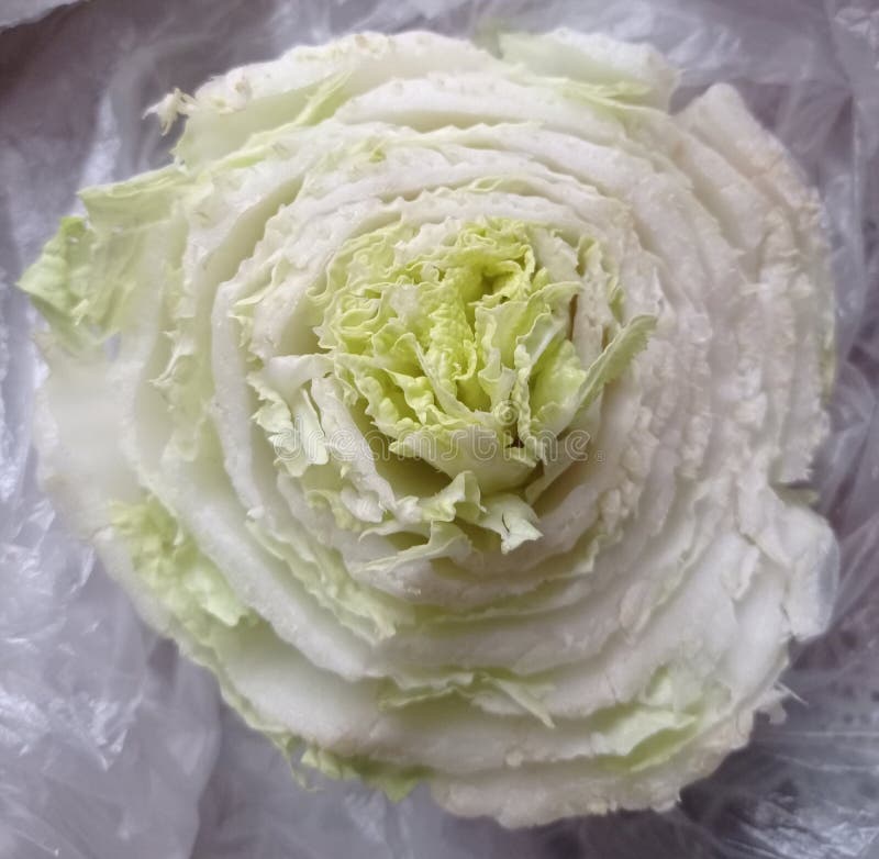 Beautiful cabbage stock image. Image of yellow, flower - 202162539