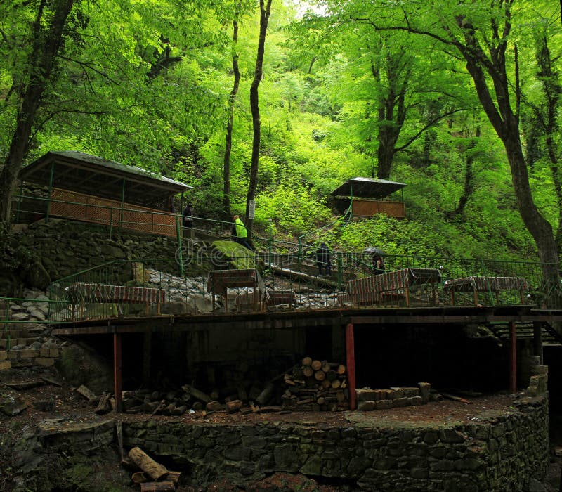 Beautiful Cafe in a Quiet Forest Stock Photo - Image of mountain ...