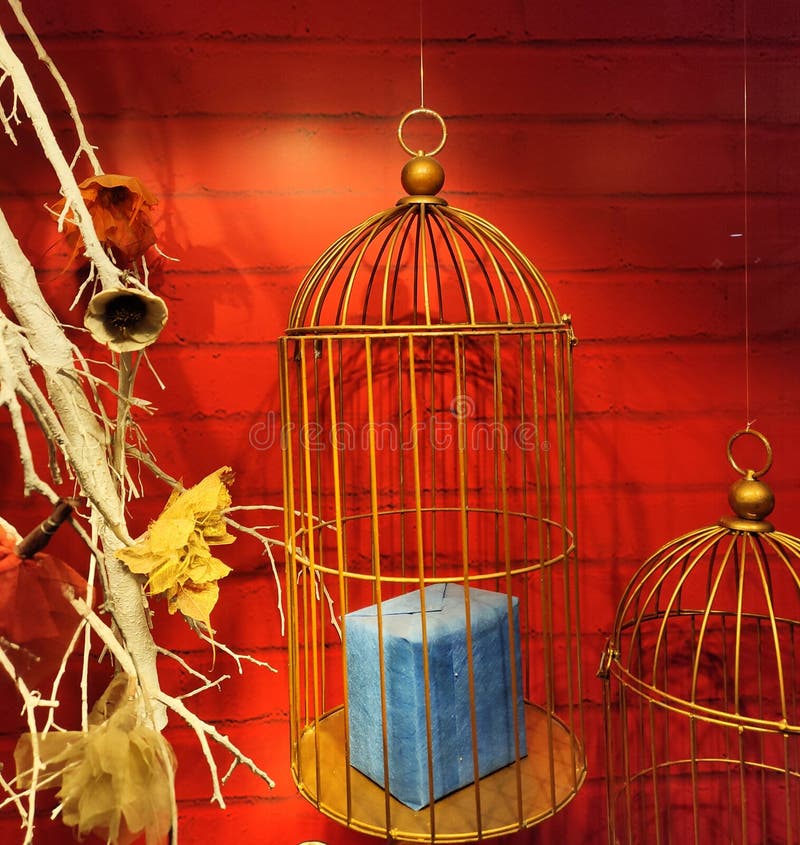 Beautiful cage with a box stock photo. Image of bird - 173174172