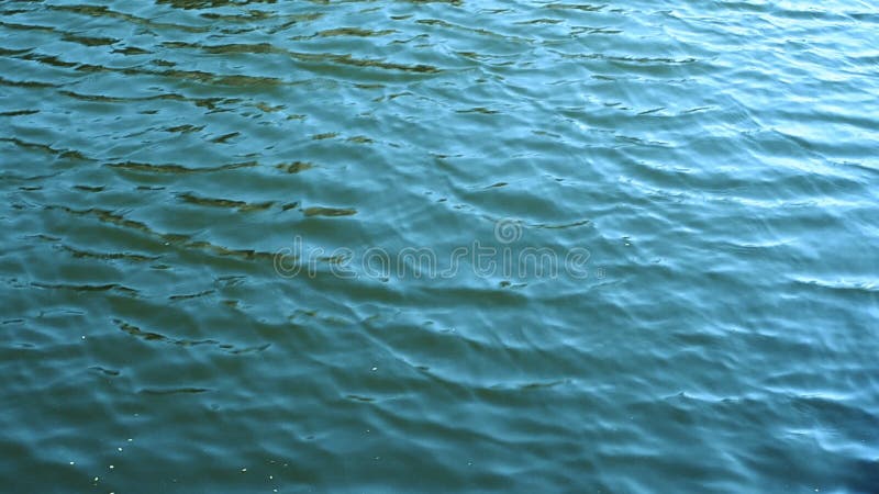 Calm Blue Waves in the Ocean Sea or River. Gold Shiny Glare of the Sun ...