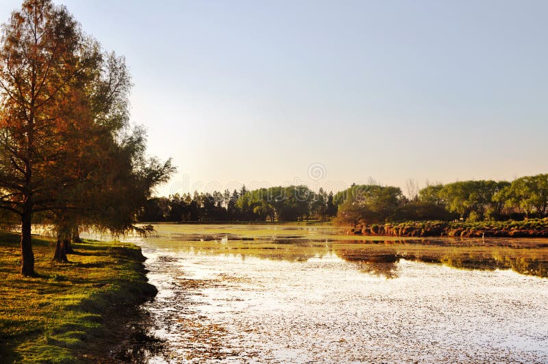 Beautiful Calm Lake at Sunset Stock Image - Image of lake, nature ...