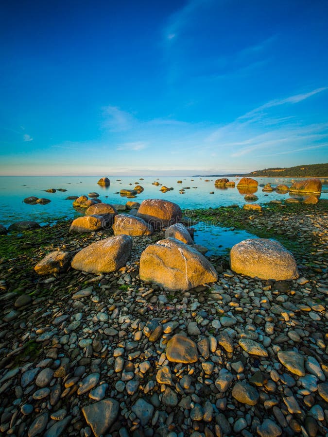 Beautiful calm seascape. stock image. Image of seagull - 76598133