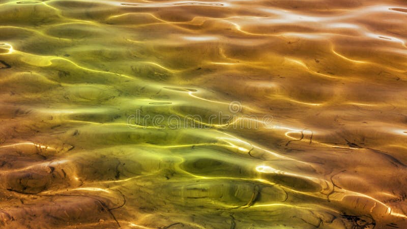 Beautiful Calm Shallow Waters in Green and Gold Stock Image - Image of ...