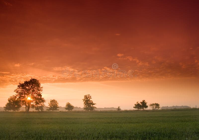Beautiful and Calm Sunrise. Stock Photo - Image of dawn, pink: 11874554