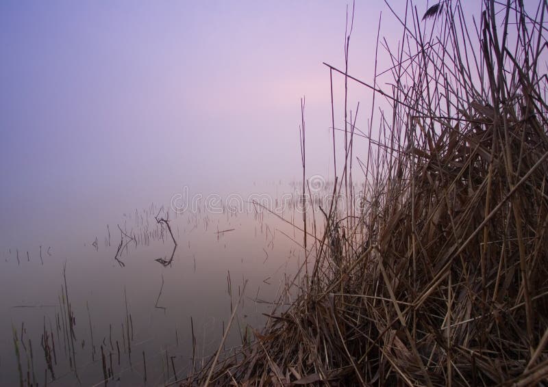 Beautiful and Calm Sunrise. Stock Image - Image of sunlight, plant ...