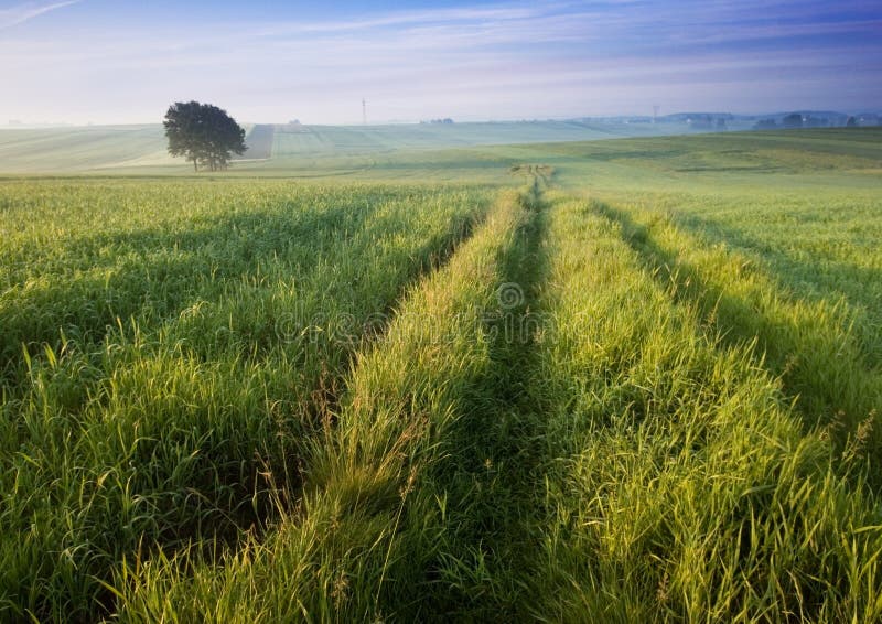 Beautiful and Calm Sunrise. Stock Photo - Image of early, dawn: 11896346
