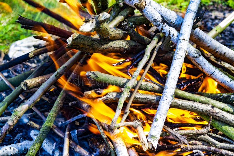 Beautiful Camp Fire on Green Grass Blurred Background Stock Image ...