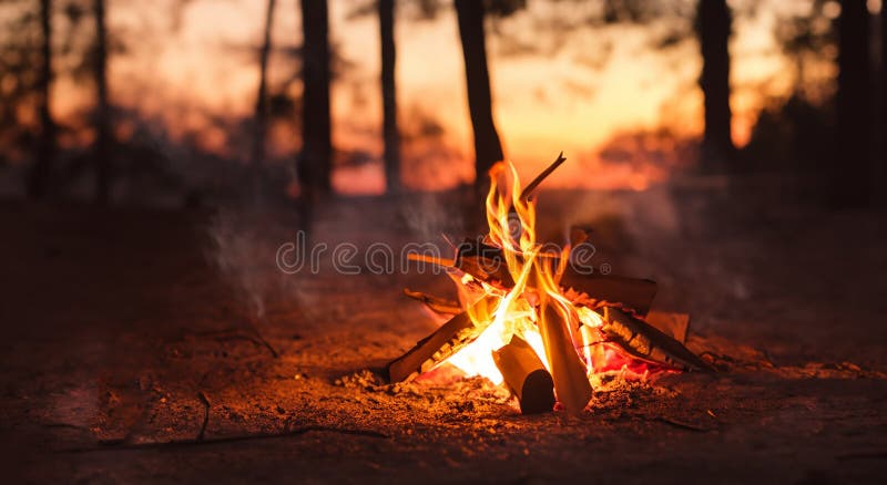 Beautiful Campfire in the Middle of the Forest in a Sunset HD Stock ...